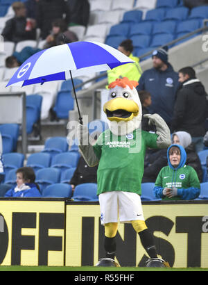 Brighton and Hove albion mascot Gully the seagull Stock Photo ...