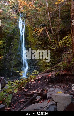 Madison Falls at Olympic National Park Stock Photo - Alamy