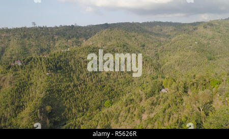 tropical forest on mountain slopes. aerial view rainforest in Indonesia ...