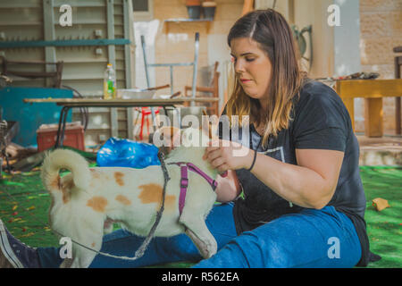 Photo of positive sweet young lady dressed denim shirt booking modern ...