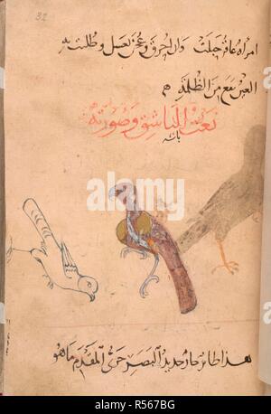 Kitab al-Hayawan (Book of Animals), 9th century Arabic text by Al-Jahiz ...