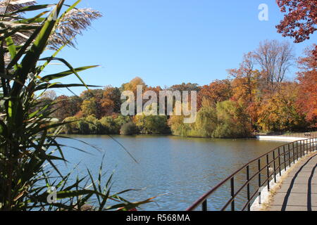 Kissena Park Lake, Queens, New York Stock Photo - Alamy