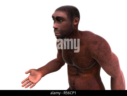 Early humans Homo erectus Stock Photo - Alamy