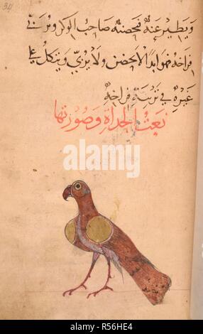 Kitab al-Hayawan (Book of Animals), 9th century Arabic text by Al-Jahiz ...