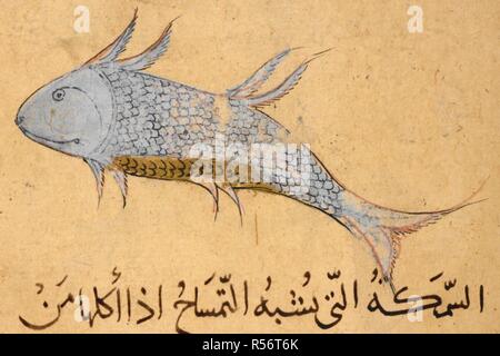 Kitab al-Hayawan (Book of Animals), 9th century Arabic text by Al-Jahiz ...