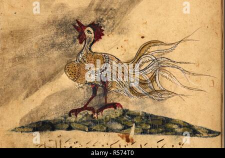 Kitab al-Hayawan (Book of Animals), 9th century Arabic text by Al-Jahiz ...