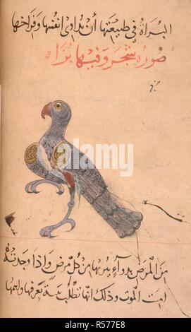 Kitab al-Hayawan (Book of Animals), 9th century Arabic text by Al-Jahiz ...