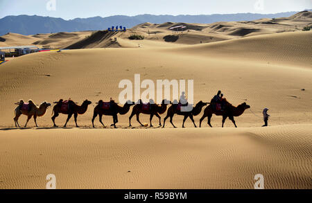Desert at Shapotou Scenic Area, Zhongwei, Ningxia, China Stock Photo ...