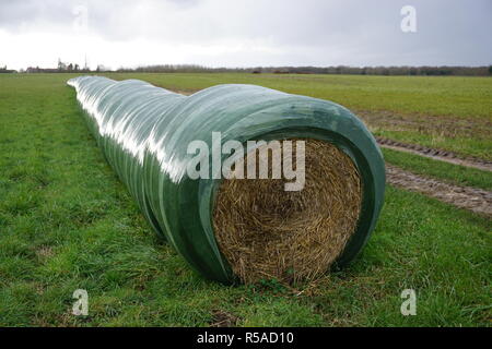 Round hay bales in plastic wrap cover Stock Photo: 88878083 - Alamy