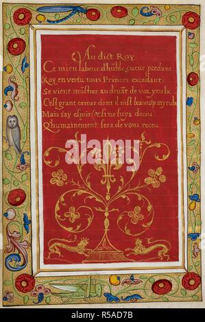 OWL text written on red rectangle stamp sign Stock Photo - Alamy