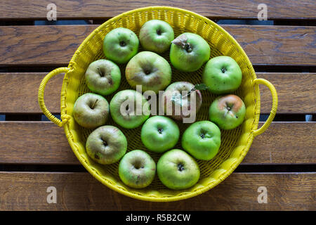 Belle de Boskoop, Bradley apples and pear Stock Photo - Alamy