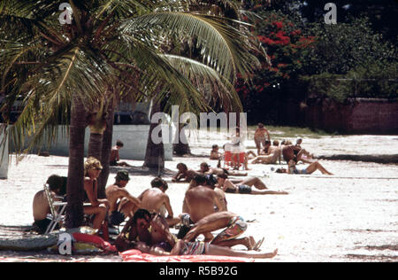 Palm-Shaded Beach at the Southernmost Point of the United States Stock ...