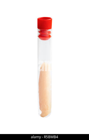 Meat in vitro / Cultured in test tubes Stock Photo - Alamy