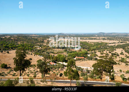 Alentejo landscape with olive tree and yellow flowers in Portugal Stock ...