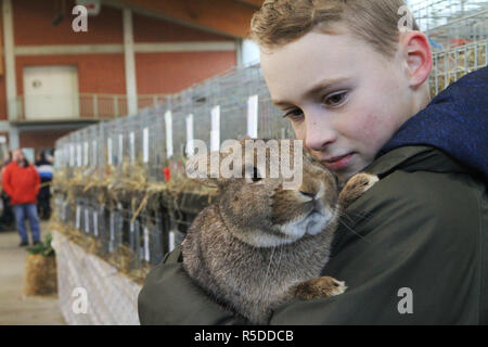 Germany. 01 December 2018, Brandenburg, Paaren/Glien: Leonie (8) from ...