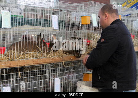 Germany. 01 December 2018, Brandenburg, Paaren/Glien: Leonie (8) from ...