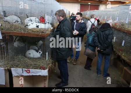 Germany. 01 December 2018, Brandenburg, Paaren/Glien: Leonie (8) from ...