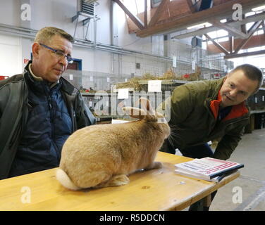 Germany. 01 December 2018, Brandenburg, Paaren/Glien: Leonie (8) from ...