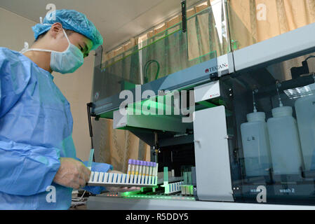 Handan, China's Hebei Province. 1st Jan, 2023. People visit a mall in ...