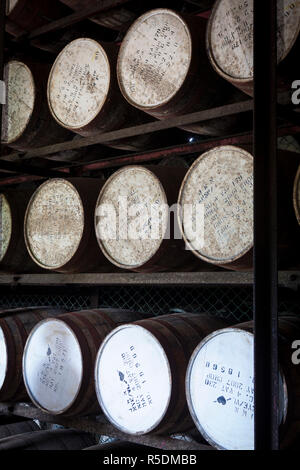 Appleton Estate Rum, St. Elizabeth Parish, Jamaica, Caribbean Stock ...