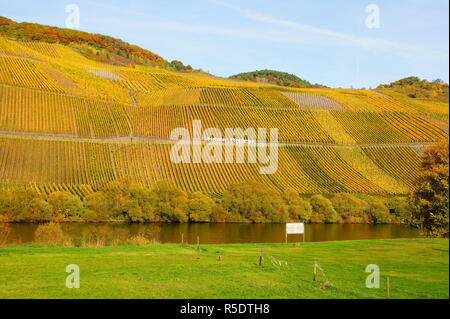soluble forest rangerlayrn Stock Photo - Alamy