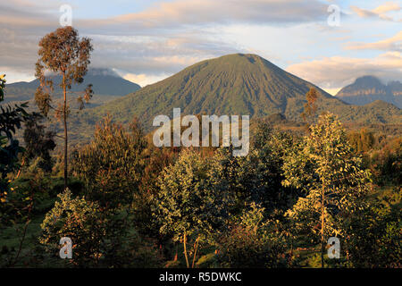 Virunga Mountains, Volcano, Rwanda Stock Photo - Alamy