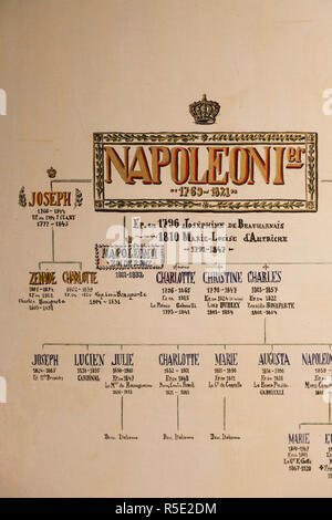 Corsica: the family tree of Napoleon Bonaparte at the Maison Bonaparte ...