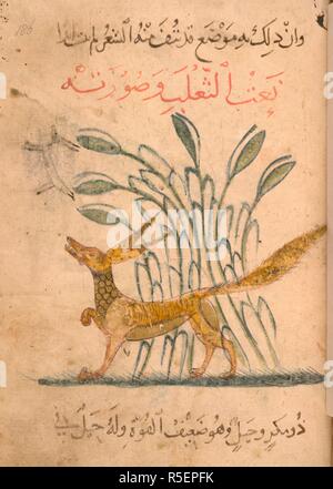 Kitab al-Hayawan (Book of Animals), 9th century Arabic text by Al-Jahiz ...