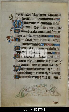 Women hunting rabbits with a ferret Stock Photo - Alamy