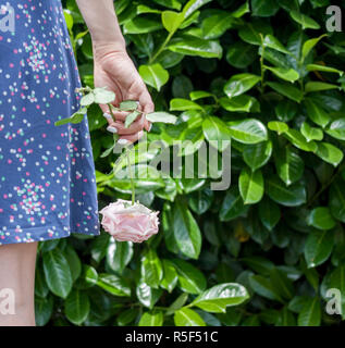 hand, beautiful, beauteously, nice, leaf, health, fashion, lifestyle ...