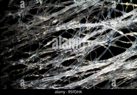Woven fabric detail under microscope. 3D illustration Stock Photo - Alamy