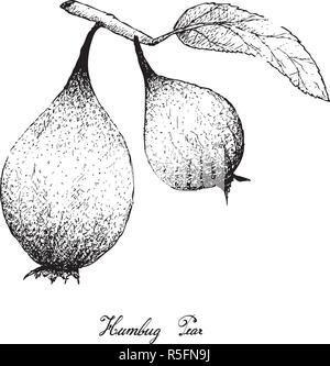 Pear tree on transparent background illustration Stock Vector Image ...