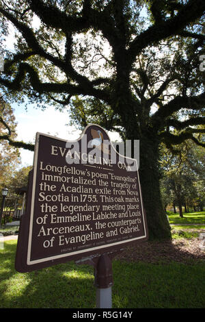 Evangeline Oak of Henry Wadsworth Longfellow poem St Martinville LA USA ...