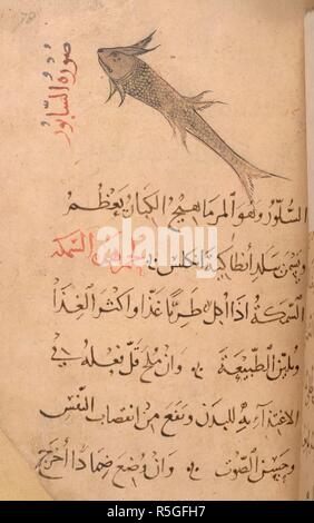 Kitab al-Hayawan (Book of Animals), 9th century Arabic text by Al-Jahiz ...