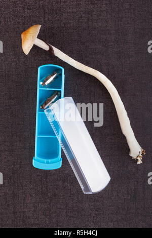 Psilocybin mushroom, microdose capsules Stock Photo - Alamy