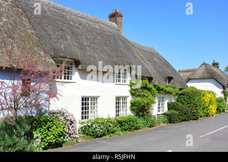 Thatched cottages, Throop, Briantspuddle, Dorset, England, United ...