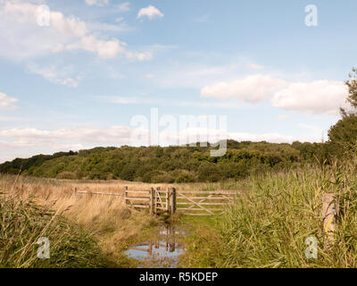 A water logged country walk meadow scene with wooden fence and gate ...