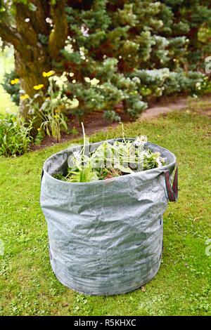 Full garden weed bag with weed and plants in the garden Stock Photo - Alamy