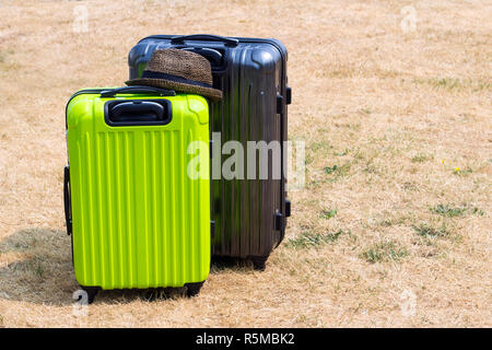 Two suitcases on the lawn, travel image Stock Photo - Alamy