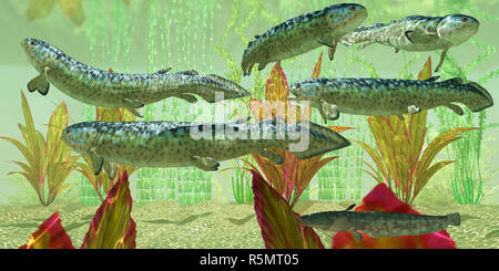 Carboniferous Rhizodus hibberti Stock Photo - Alamy