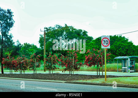 Trees in a median strip in the road are in full Springtime bloom Stock ...