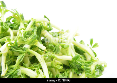 Peanut Sprouts isolated Stock Photo - Alamy