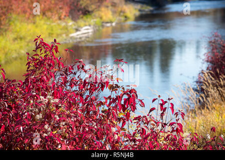 Sanpoil River in autumn, Collville Indian Reservation, Washington Stock ...