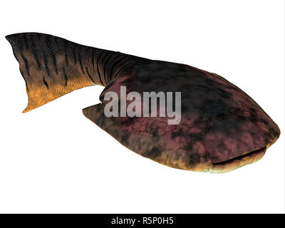 Drepanaspis is an extinct primitive jawless fish in the Devonian Period ...