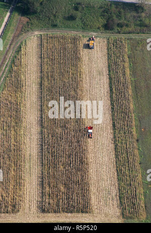Aerial view of corn field, Croatia Stock Photo - Alamy