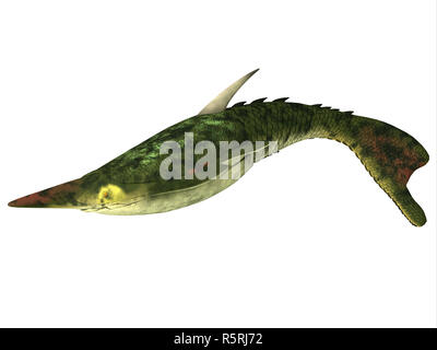 Pteraspis Fish on White Stock Photo - Alamy