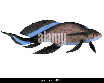 Scaumenacia Fish on White Stock Photo - Alamy