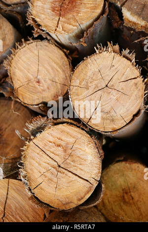 Brown logs texture. Vertical logs pattern background Stock Photo - Alamy