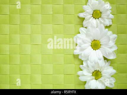 Daisies on green checkered background Stock Photo - Alamy