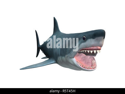 3D Rendering Megalodon Shark on White Stock Photo - Alamy